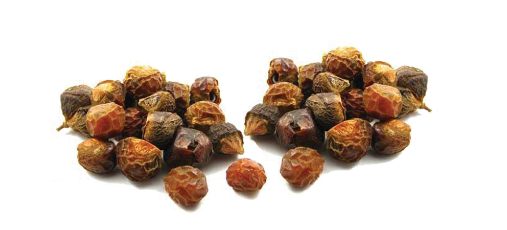 What Are Soapnuts? | Stay at Home Mum
