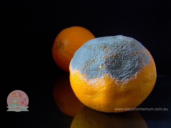 Mouldy Food - How Far Is Too Far Gone? | Stay At Home Mum