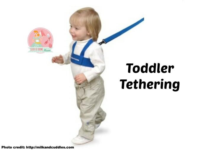 Would you use a Toddler Tether? - Stay at Home Mum