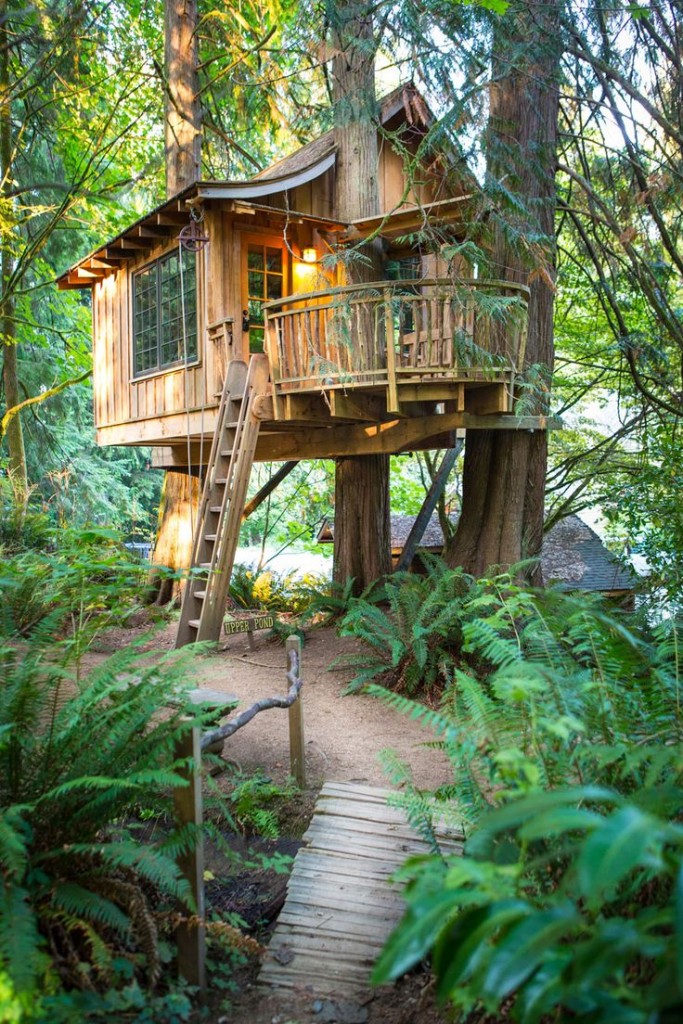 15 Of The World's Coolest Tree Houses - Stay at Home Mum