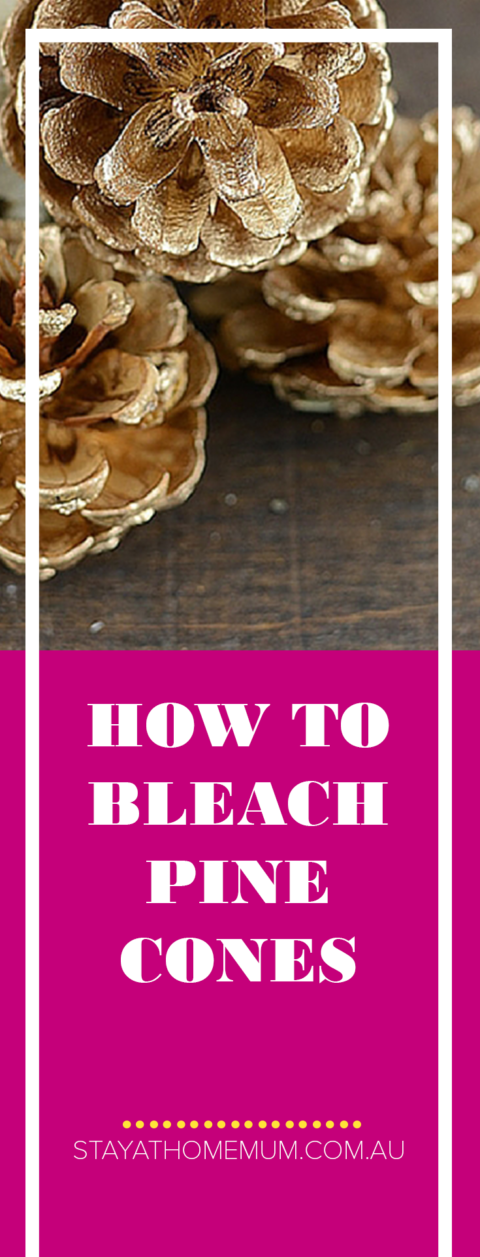 How to Bleach Pine Cones