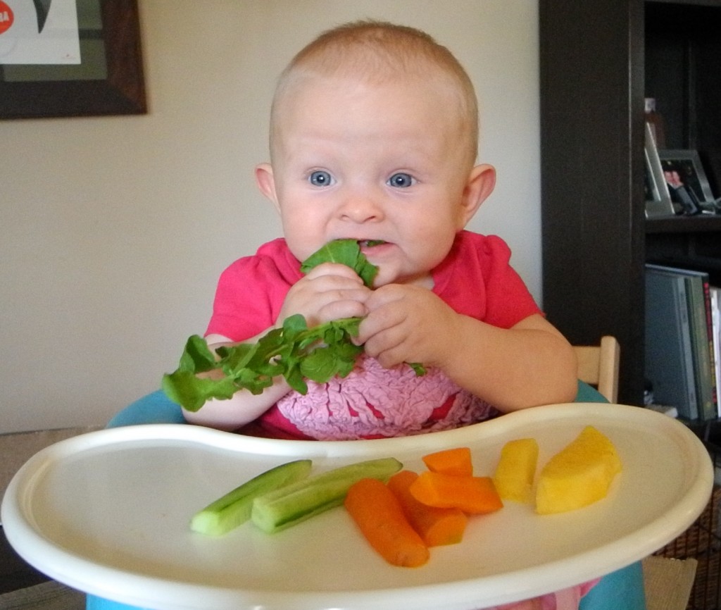 Fearless Feeding: Introducing Solids to Your Baby's Diet - Stay at Home Mum