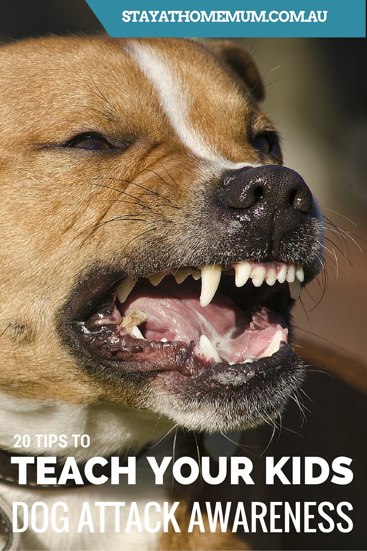 20 Tips to Teach Your Kids Dog Attack Awareness - Stay at Home Mum