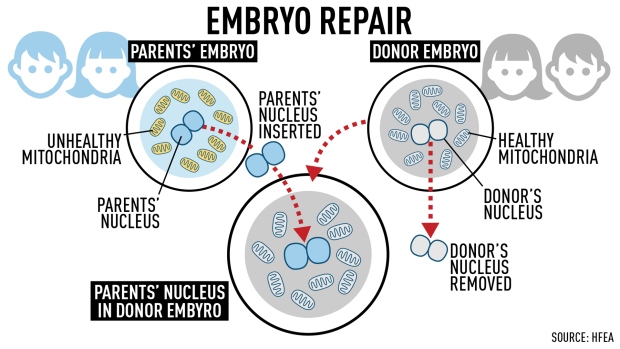 The World's First Three-Parent Baby Born In Mexico - Stay at Home Mum